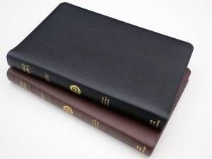 A Guide to Buying the Perfect Bible