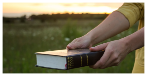 The Empathy Challenge: Can Fiction Heal?