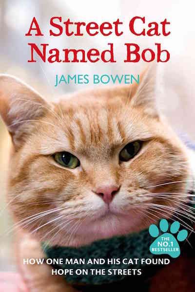 10 Purrfect Cat Books for Cat Lovers | Book Riot