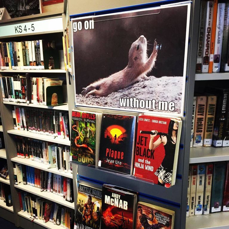 Funny Book Displays in a High School Library