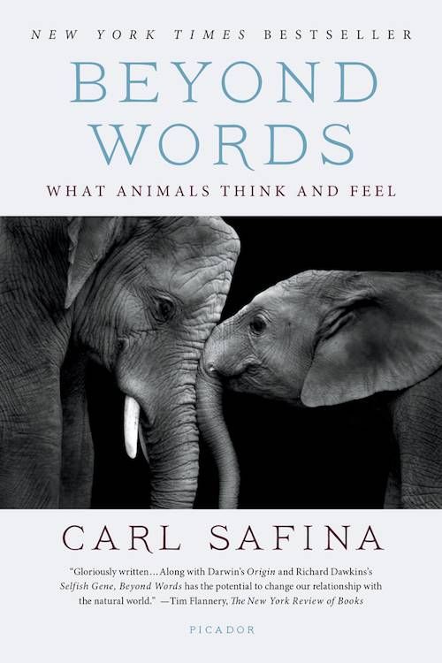 10 Fascinating Animal Books for Animal Lovers | Book Riot