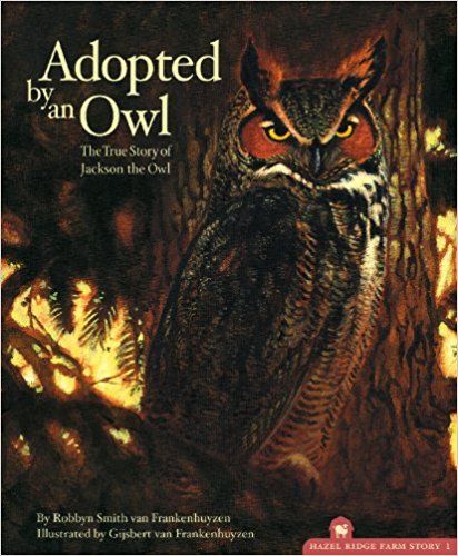 Owl Books Perfect For Every Kind Of Reader, Children Through Adults.