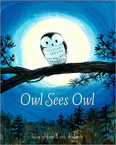 Owl Books Perfect For Every Kind Of Reader, Children Through Adults.