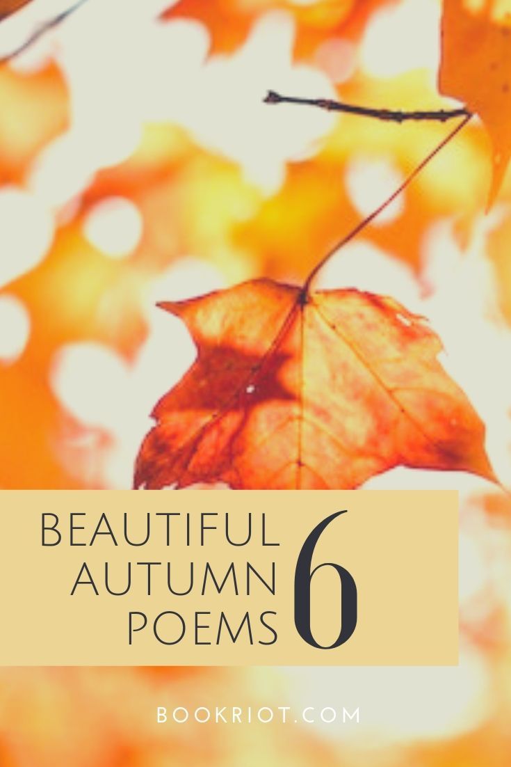 Fall in Love With These 6 Beautiful Autumn Poems | Book Riot