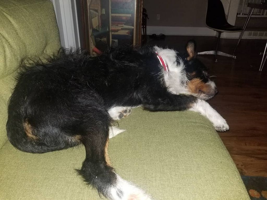 An Introvert’s Guide to Joining a Book Club | Book Riot