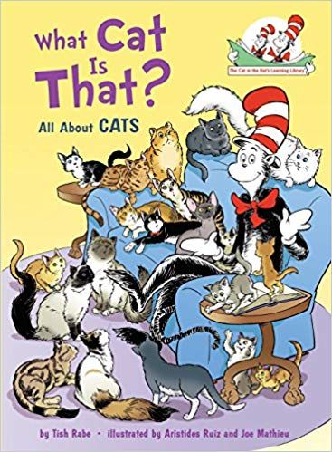 21 Purrfect Cat Books for Kids Who Love Kitties | Book Riot