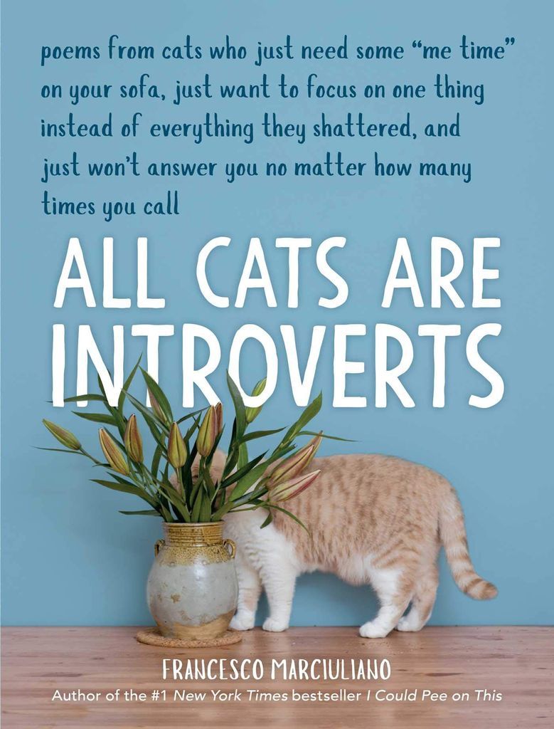 The Cat's Pajamas: 9 Funny Cat Books | Book Riot