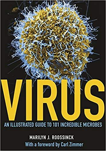 5 of the Best Nonfiction Books About Viruses | Book Riot