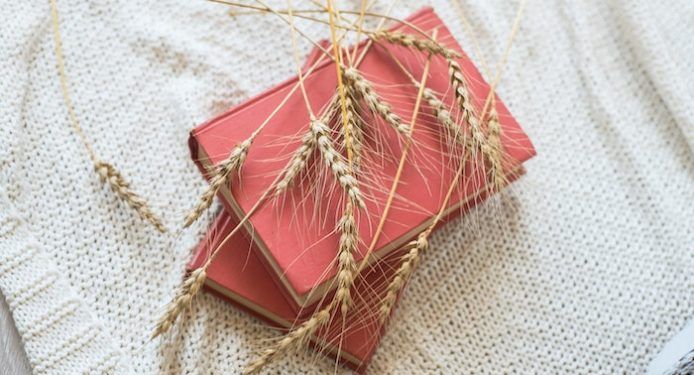 What to Write in a Book As a Gift: 40 Bookish Inscription-Ready Quotes