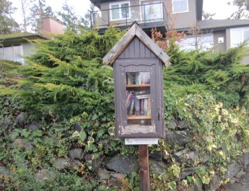 A Little Free Library Walking Tour of My Neighborhood