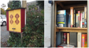 A Little Free Library Walking Tour of My Neighborhood