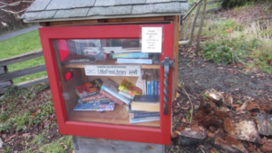 A Little Free Library Walking Tour of My Neighborhood
