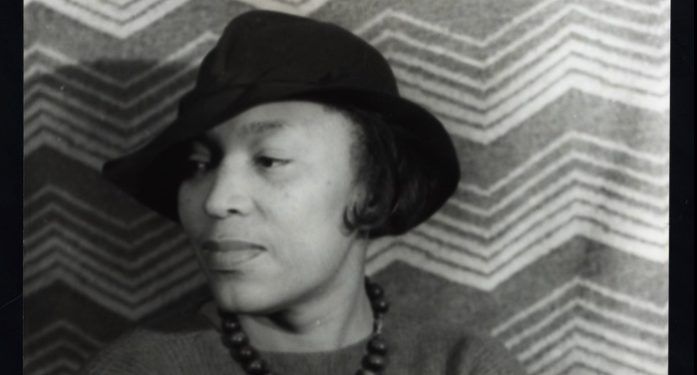 Zora Neale Hurston: Writer, Folklorist, Anthropologist, Activist | Book ...