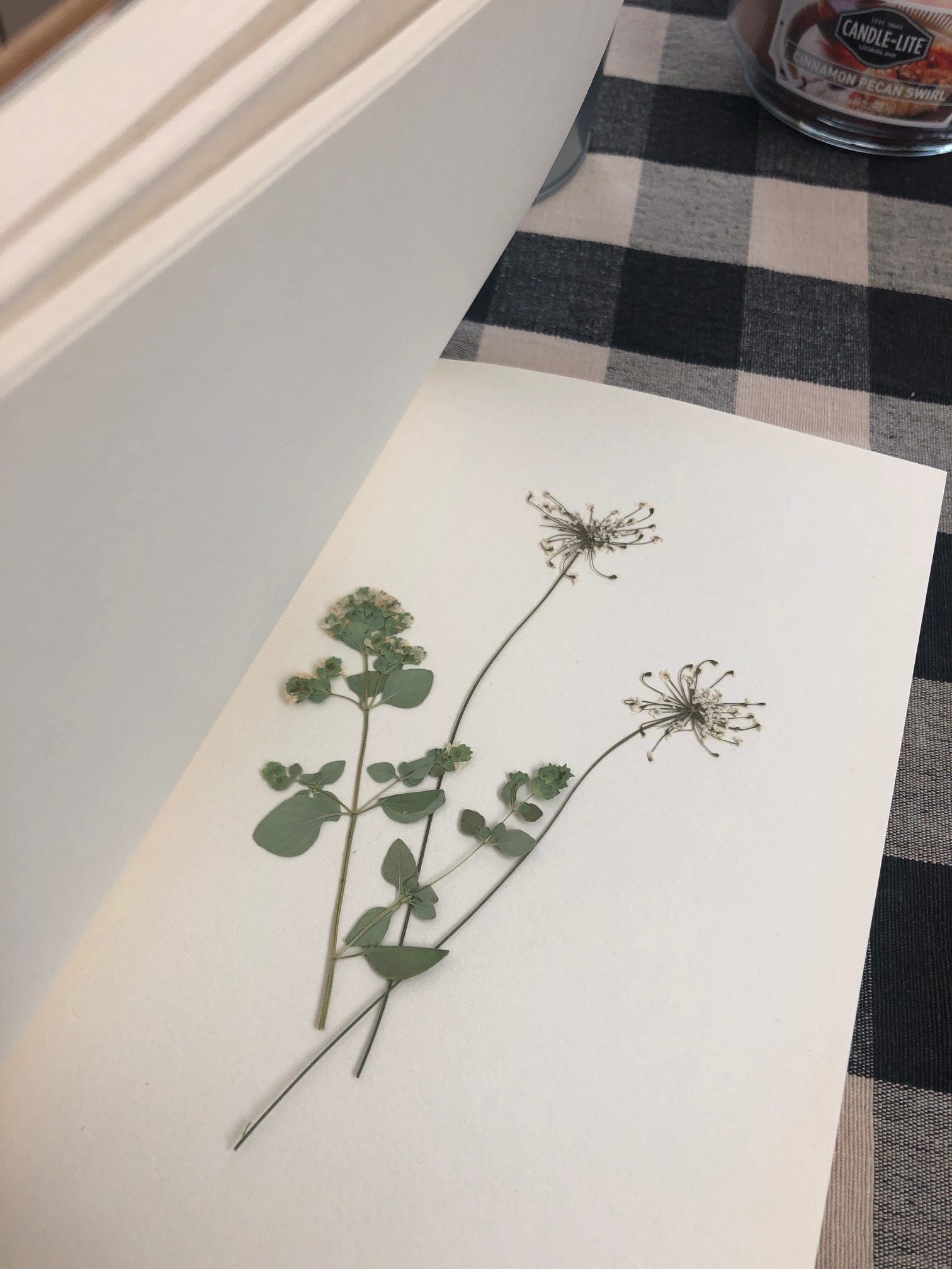 How to Make a Pressed Flower Bookmark | Book Riot
