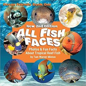 10 Fish Books for Kids: They Don't Get Betta Than This | Book Riot