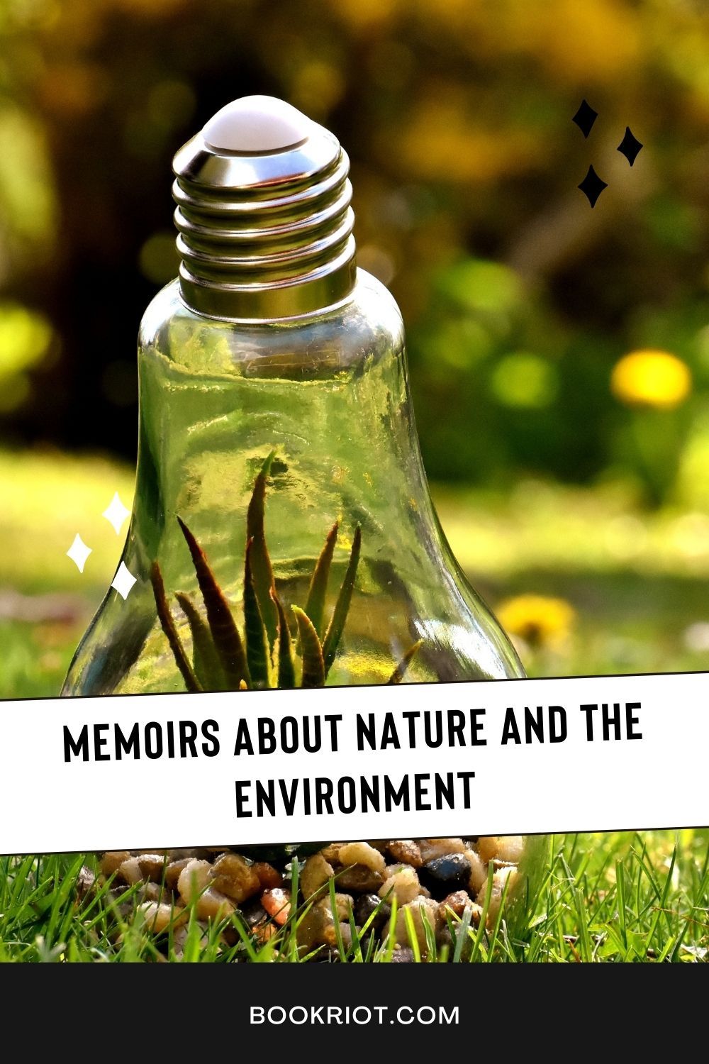 9 Eye-Opening Memoirs About Nature and the Environment
