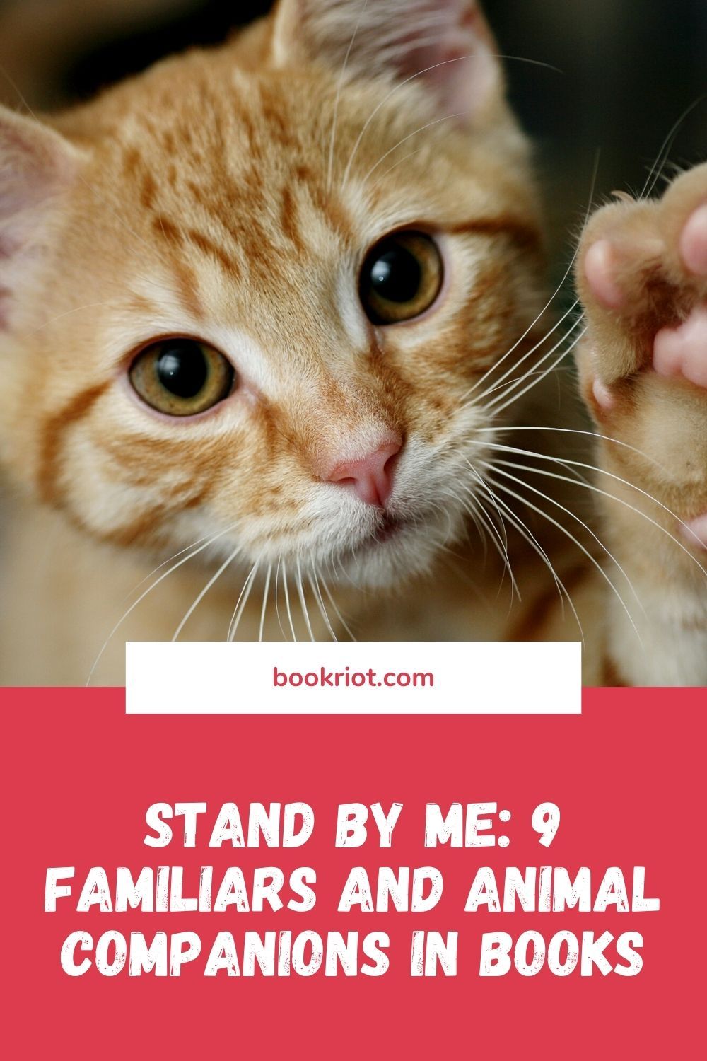 Stand By Me: 9 Familiars/Animal Companions in Literature