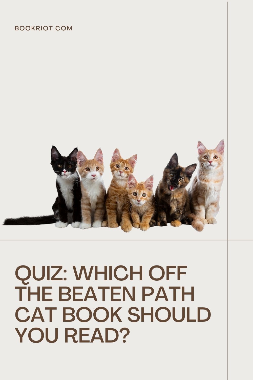 Quiz: Which Off-The-Beaten-Path Cat Book Should You Read? | Book Riot