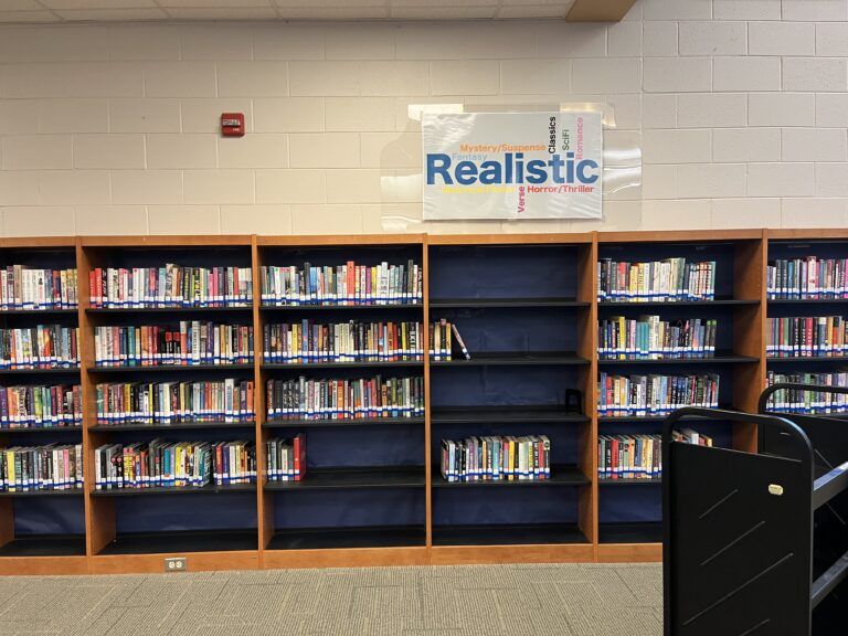 How I Genrefied My School Library and What I Learned Along The Way
